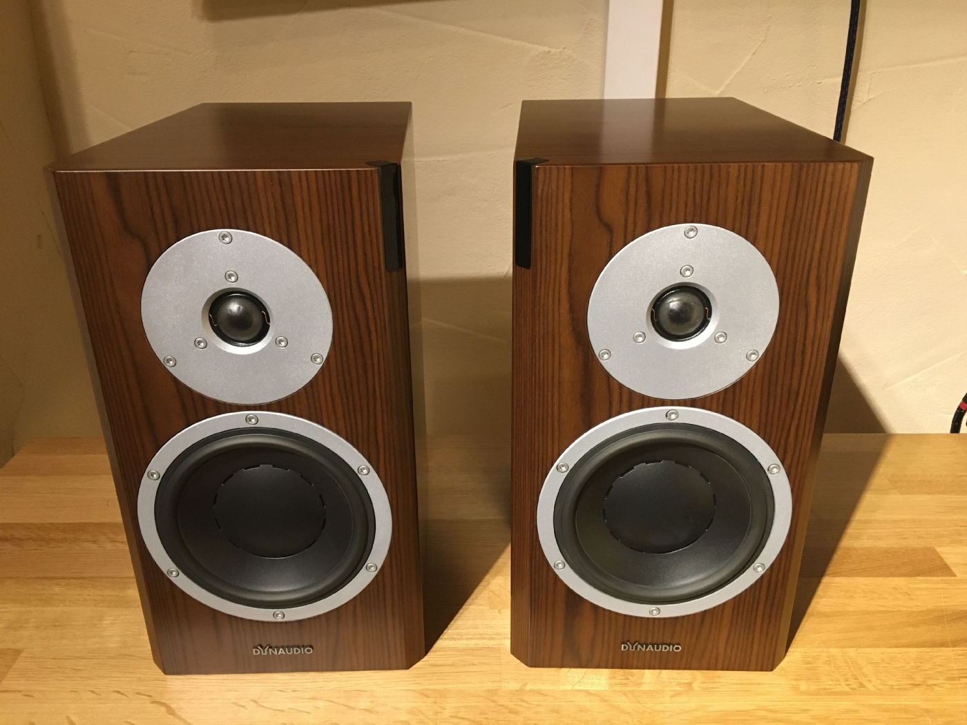 Dynaudio Focus 200 XD, Aussteller walnuss Aktiver Bassreflex Regallau ...